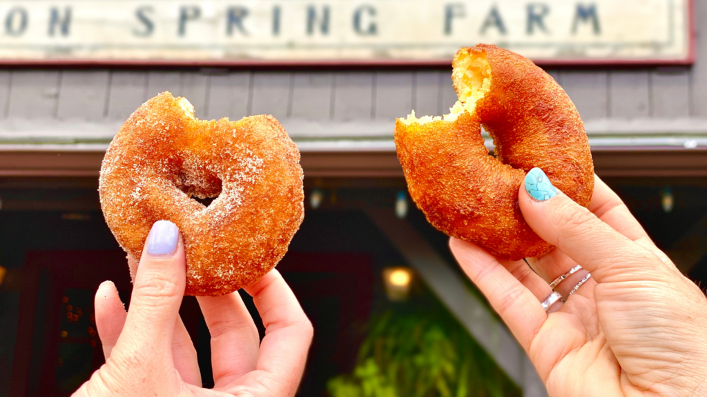 Cider Donuts Across Massachusetts: Where to Find the Sweetest Fall ...